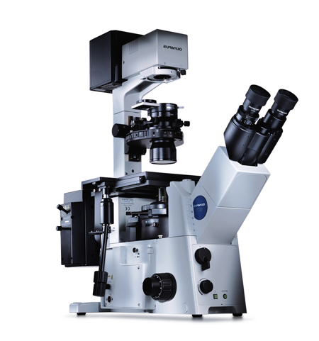Microscopy, Imaging and Flow Cytometry Shared Resource